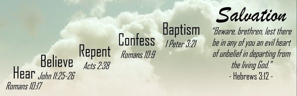 rsz_salvation_banner